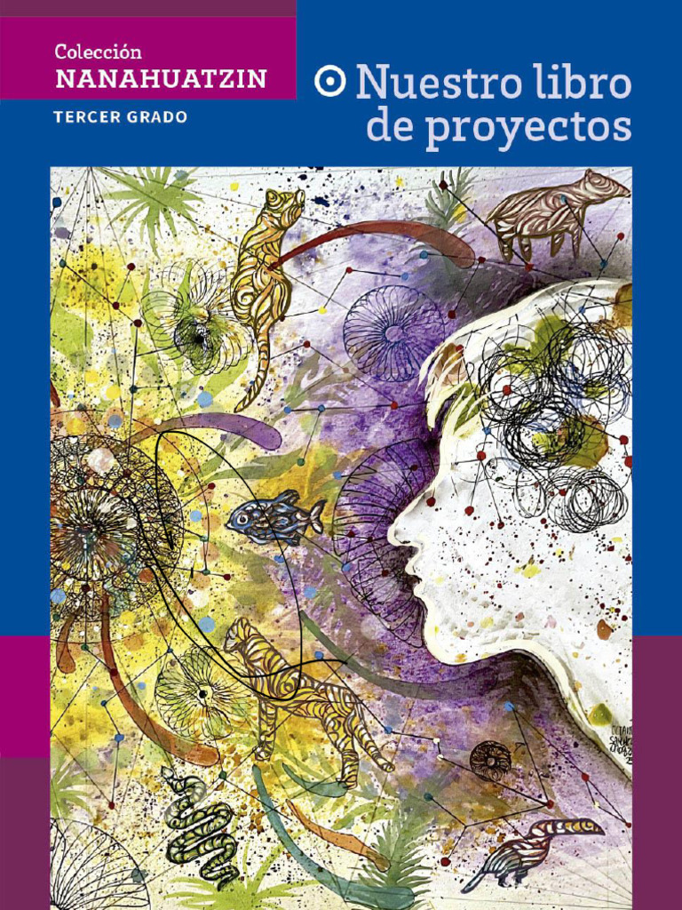 Nuestro Libro de Proyectos 3 | PDF