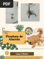 Guía sobre Alacranismo y su Tratamiento | PDF | Especialidades Medicas