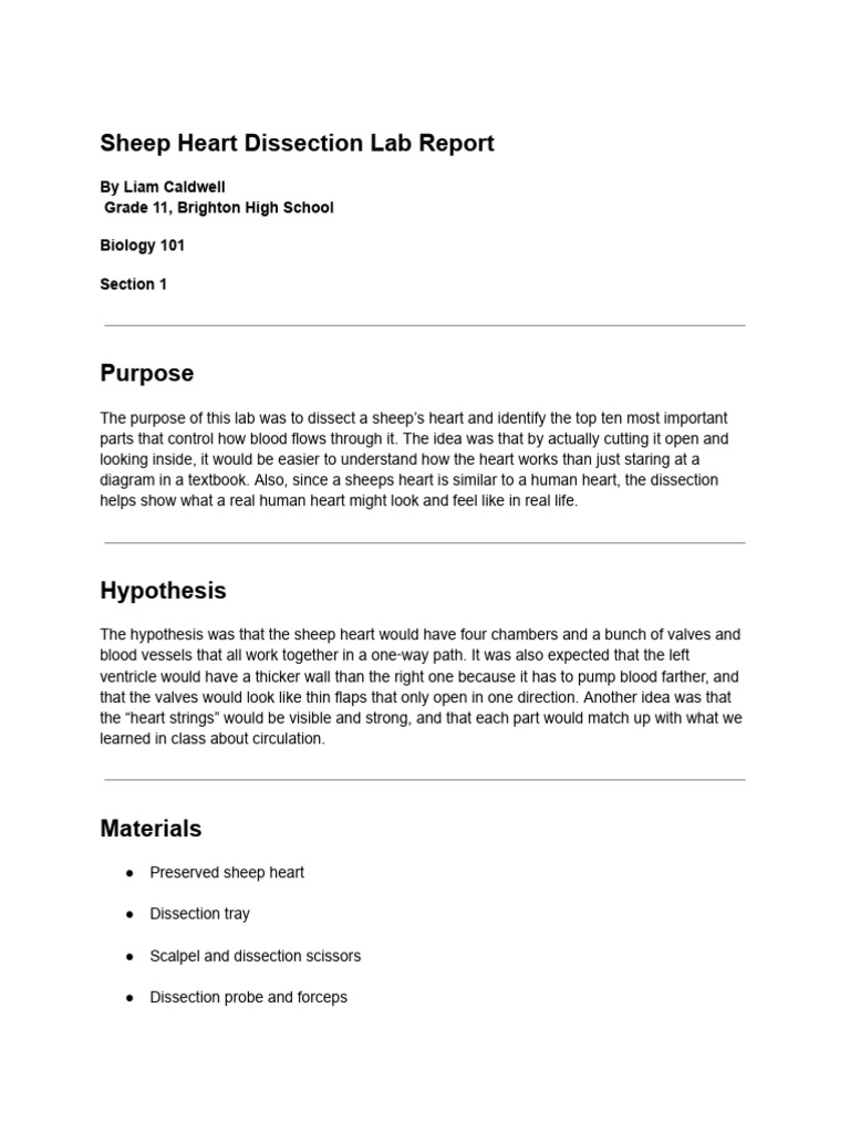 Sheep Heart Dissection Lab Report | PDF | Heart Valve | Ventricle (Heart)