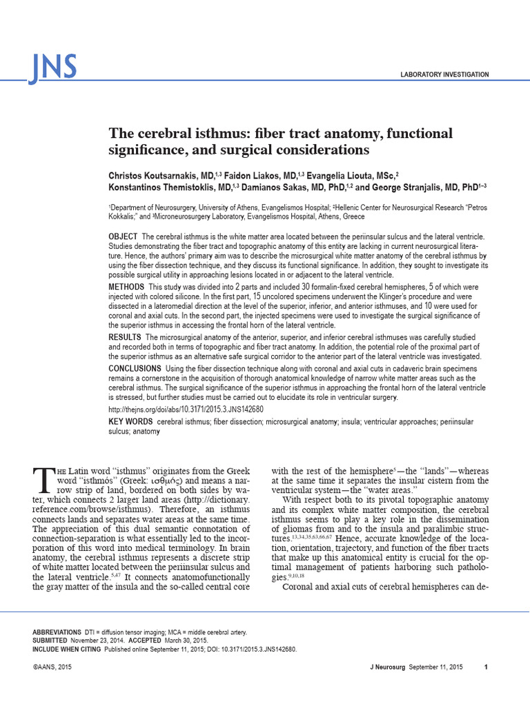 The Cerebral Isthmus Fiber Tract Anatomy, Functional Significance, and ...