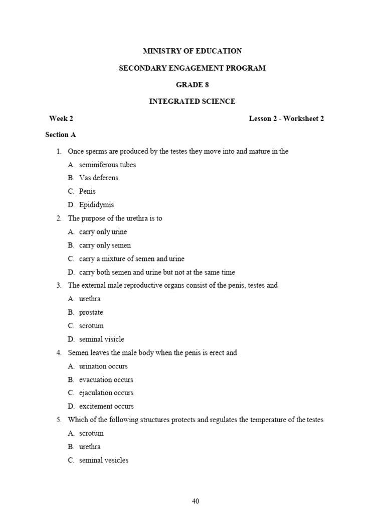 Grade 8 Integrated Science Week 2 Lesson 2 Worksheets 2 and ...