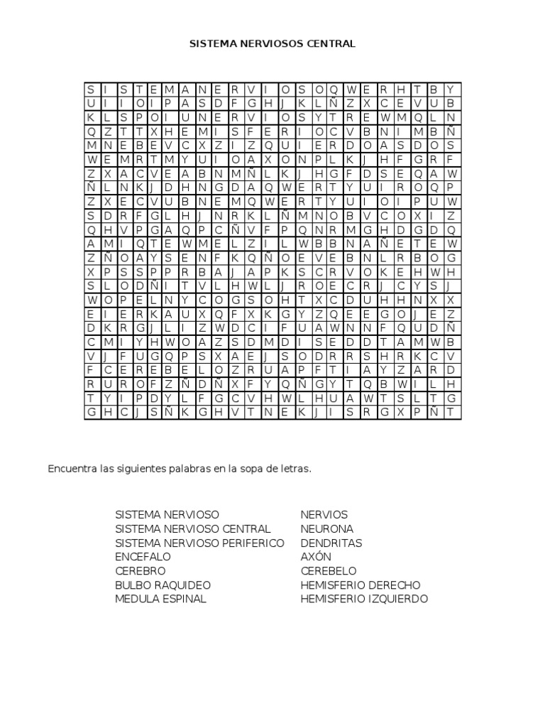 Sistema Nerviosos Central (Sopa de Letras) | PDF | Sistema nervioso ...