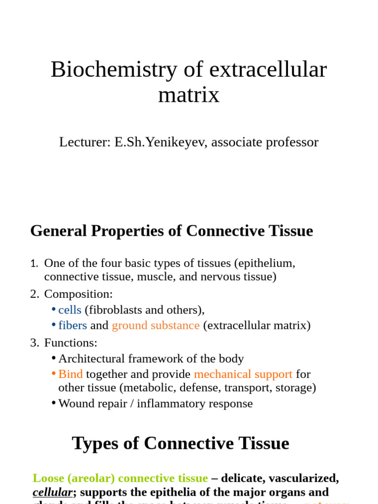 Lecture 9. Extracellular Matrix-1 | PDF | Extracellular Matrix ...