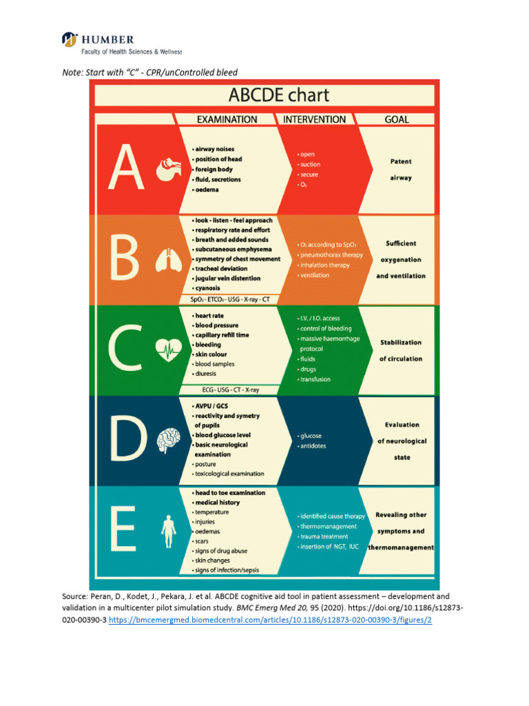 ABCDE Framework | PDF