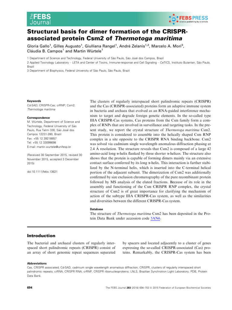 Structural basis for dimer formation of the CRISPR‐associated protein ...