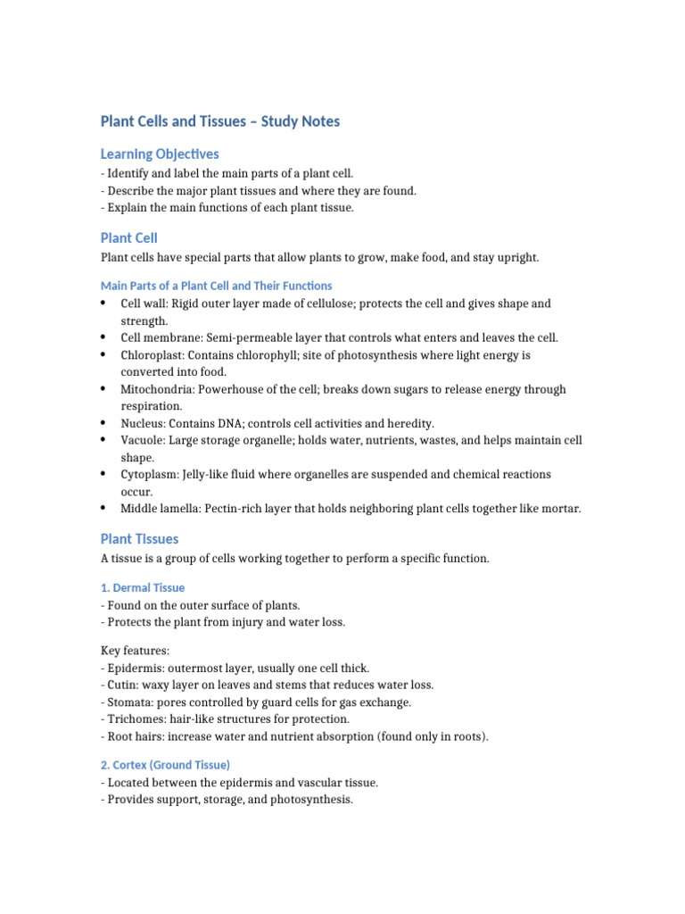 Plant Cell and Tissue Study Guide | PDF | Tissue (Biology) | Histology