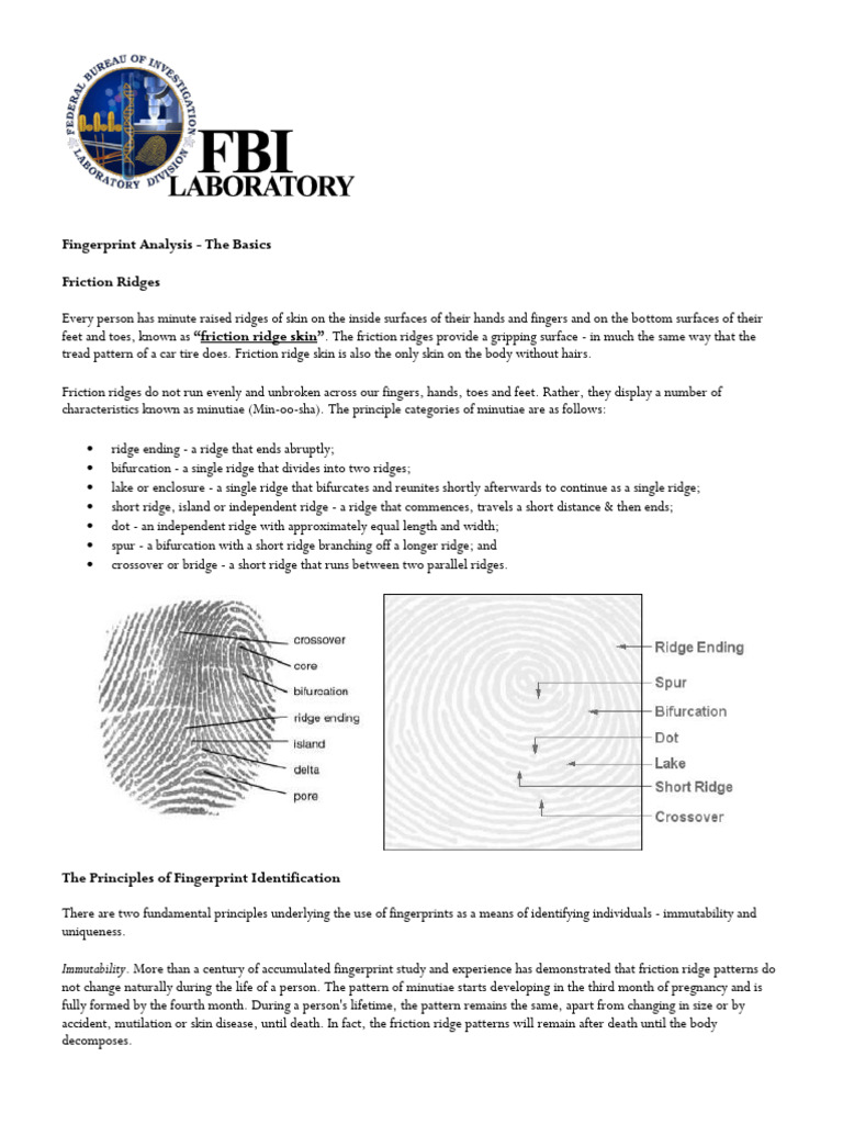 Fingerprint Analysis Basics and Types | PDF | Fingerprint