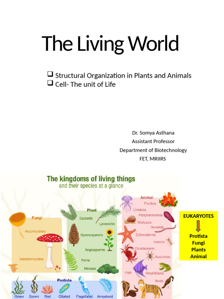 Structural Organization in Living Organisms | PDF
