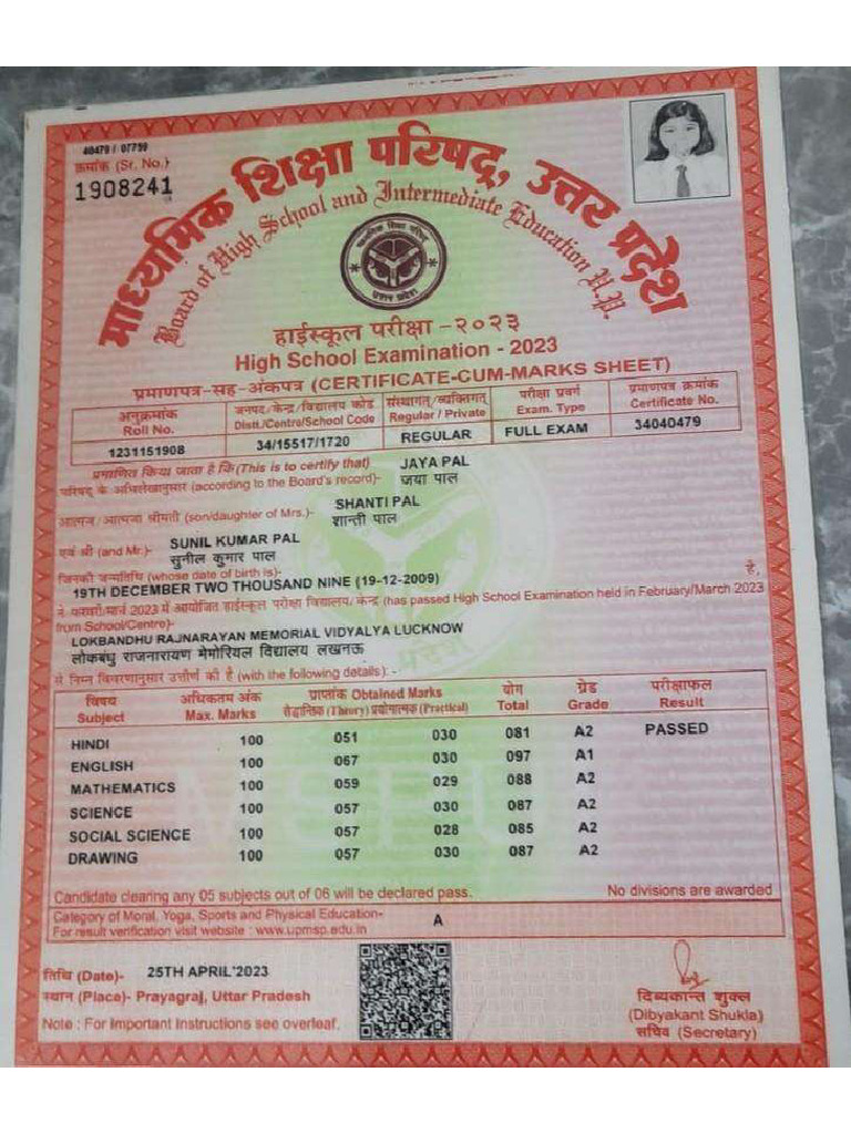 Board Certificate | PDF