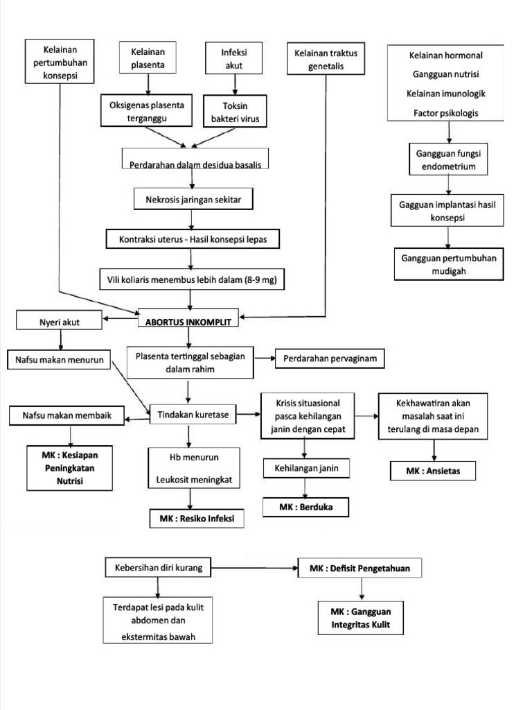 PDF Pathway Abortus Inkomplit Compress | PDF
