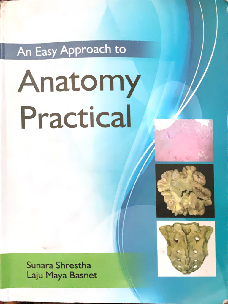 Anatomy Practical Book 2nd Year | PDF