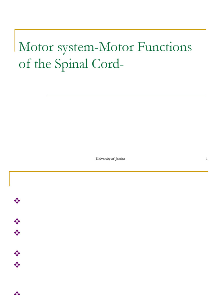 Spinal Cord Motor Functions Overview | PDF | Motor Neuron | Spinal Cord