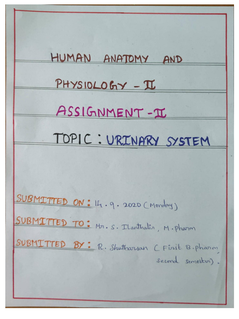 Human Anatomy and Physiology - II Assignment No - 2 URINARY SYSTEM | PDF
