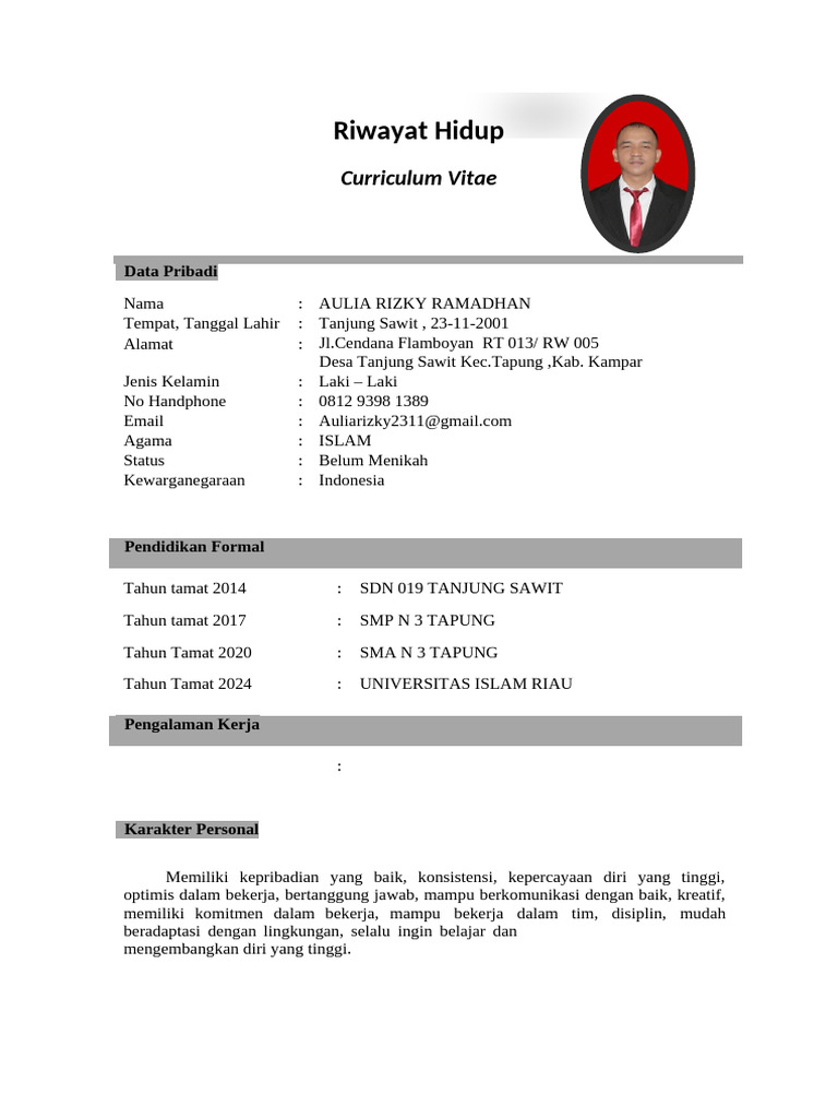 Curriculum Vitae Aulia Rizky Ramadhan | PDF