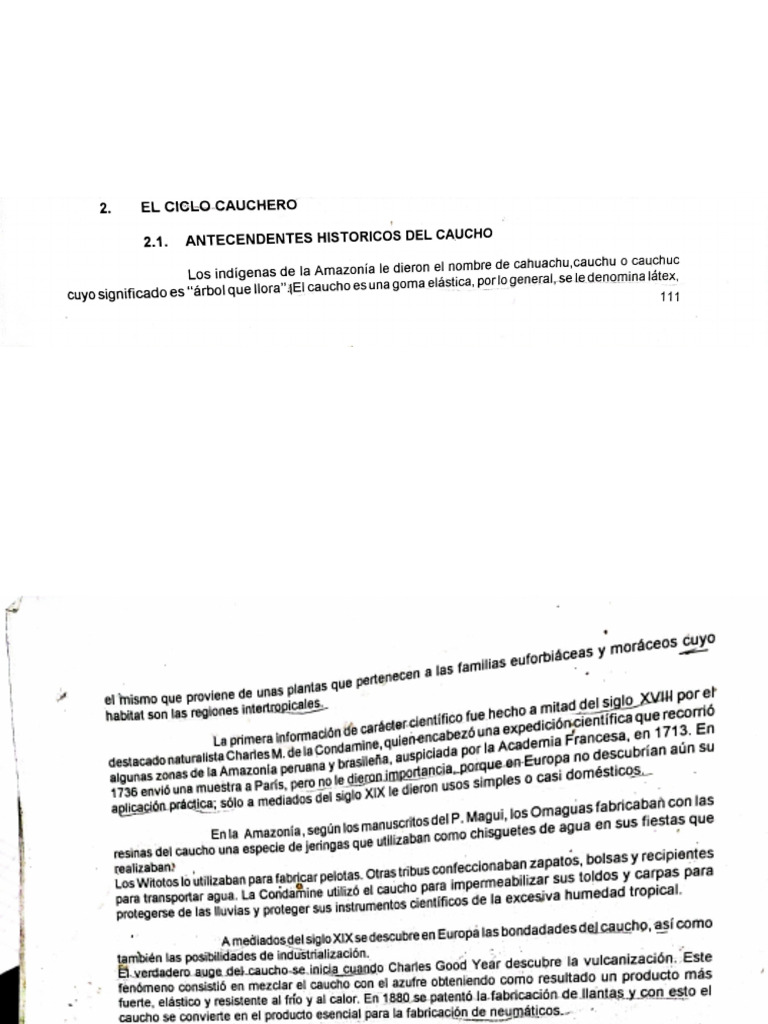 El Ciclo Cauchero | PDF