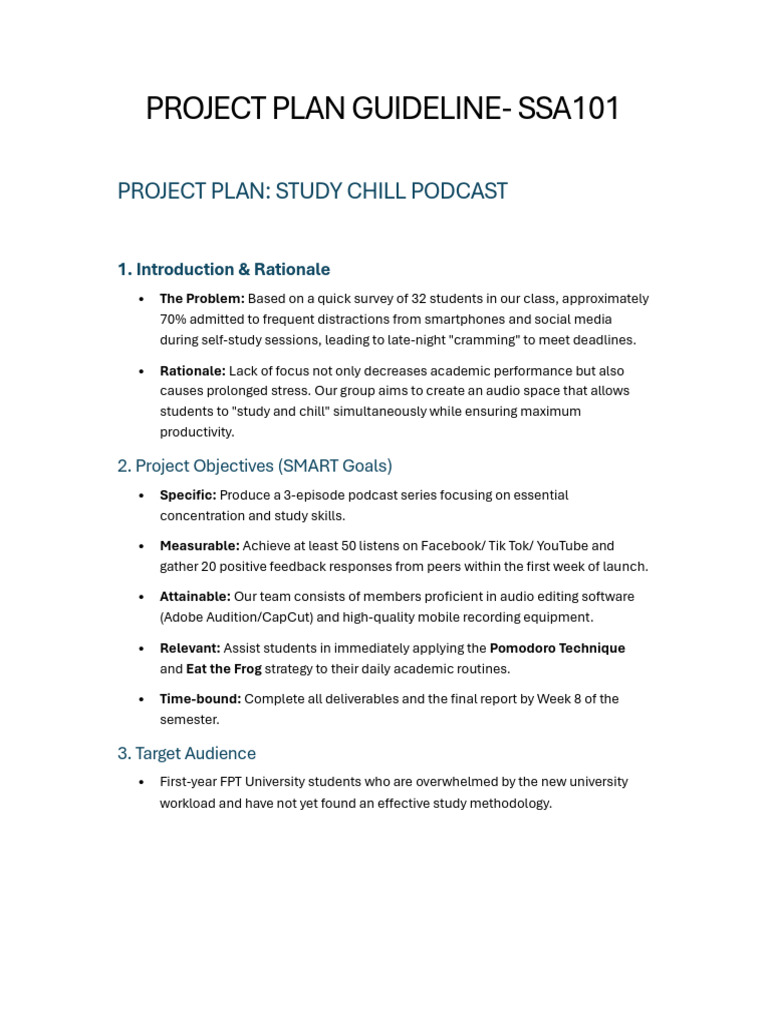 Project Plan - Template - SSA101 | PDF