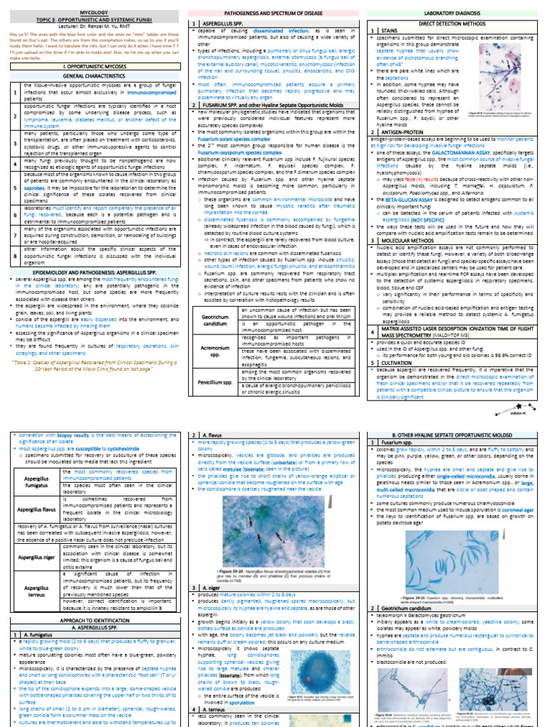 Opportunistic Fungi in Immunocompromised Patients | PDF | Aspergillus ...