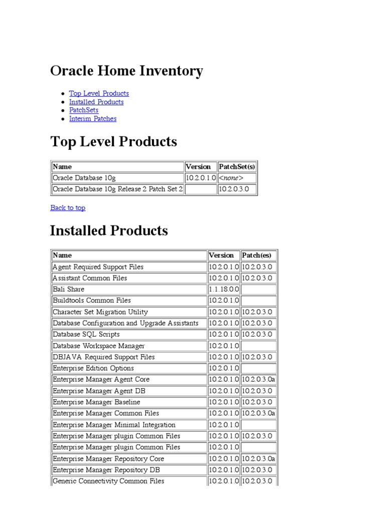 Oracle Database 10g Inventory Report | PDF