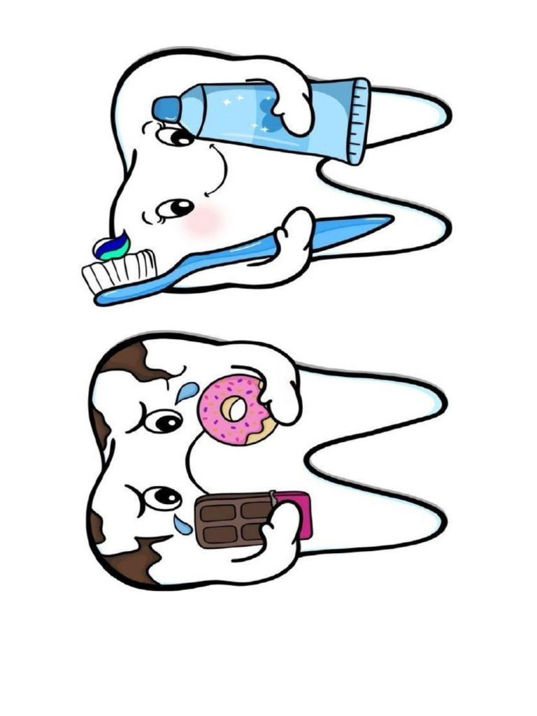 Tooth Diagrams | PDF
