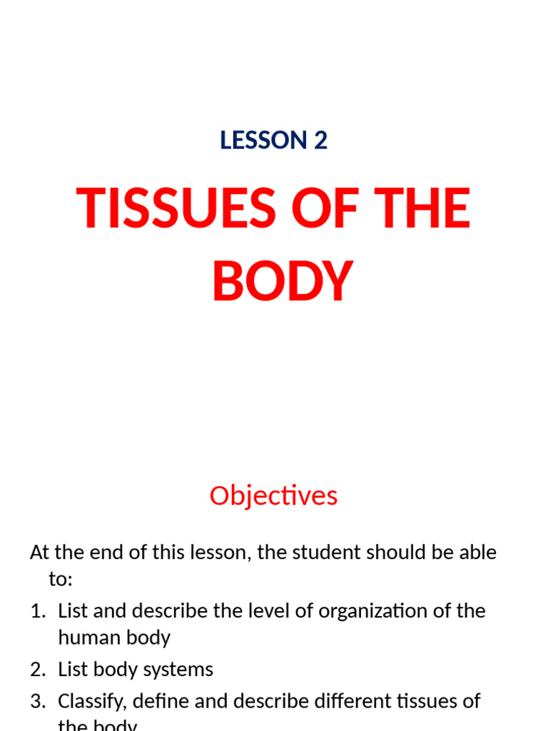 LESSON 2 TISSUES OF THE BODY_ | PDF | Epithelium | Muscle