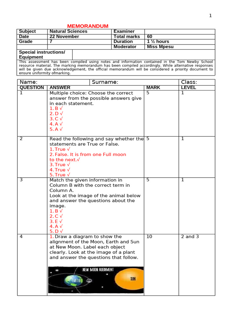 Natural Sciences Exam Memorandum | PDF | Uranium | Energy Development