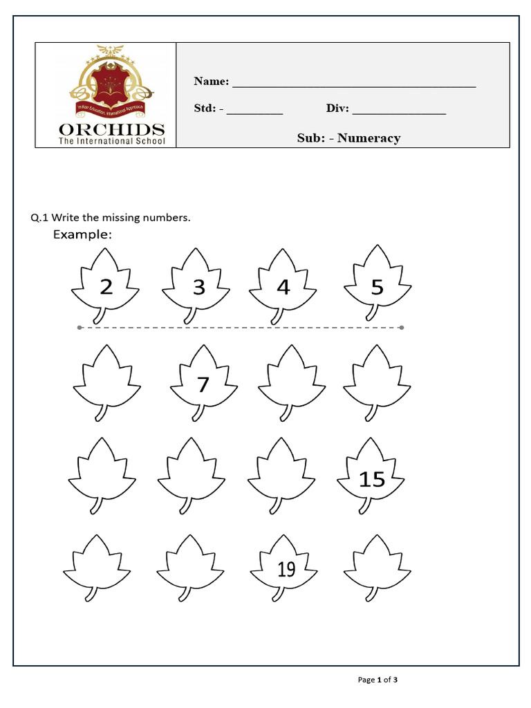 Numeracy Practice Worksheet Jan Vol 4 | PDF