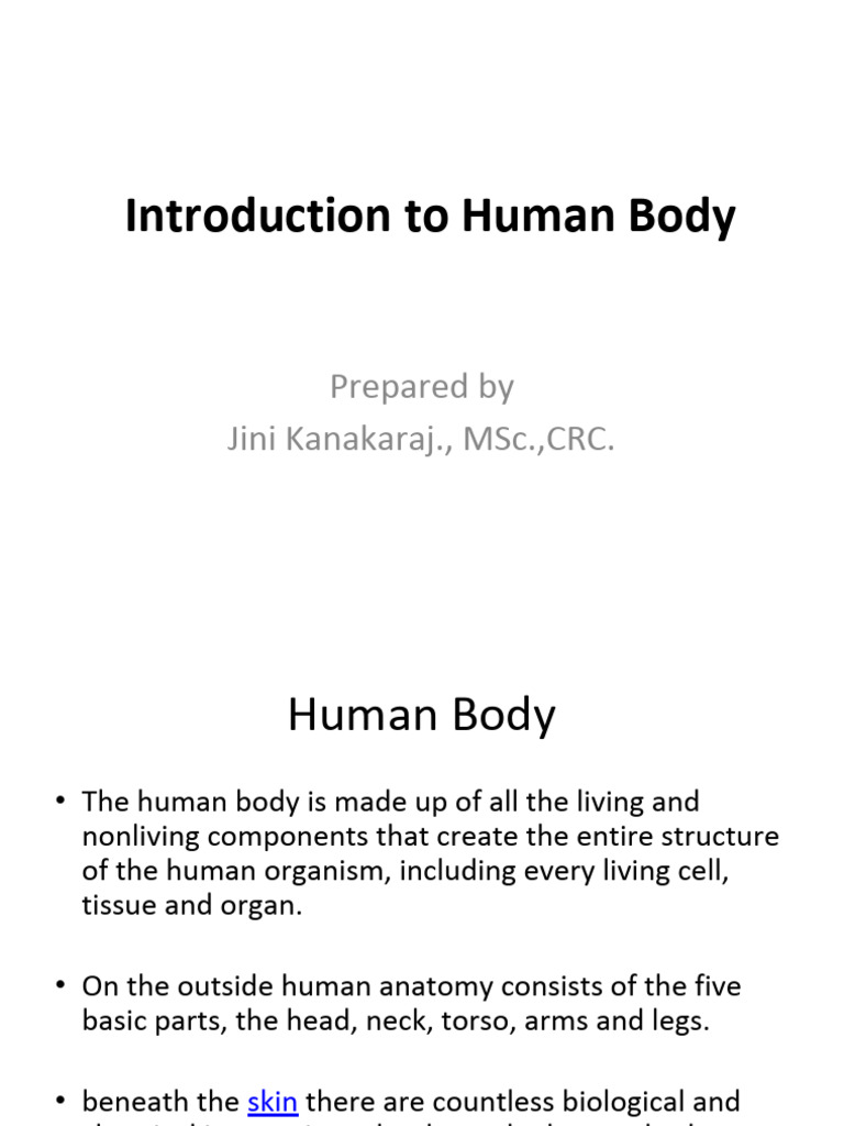 Overview of Human Body Anatomy | PDF | Human Anatomy | Morphology (Biology)