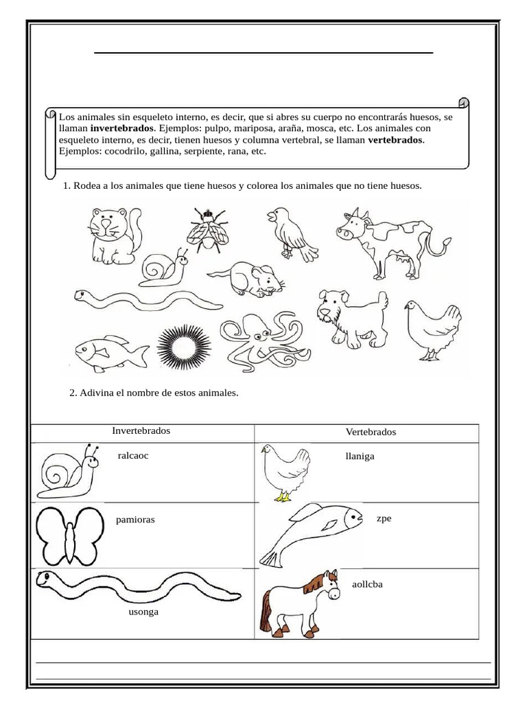Invertebrados y Vertebrados: Ejemplos y Actividades | PDF