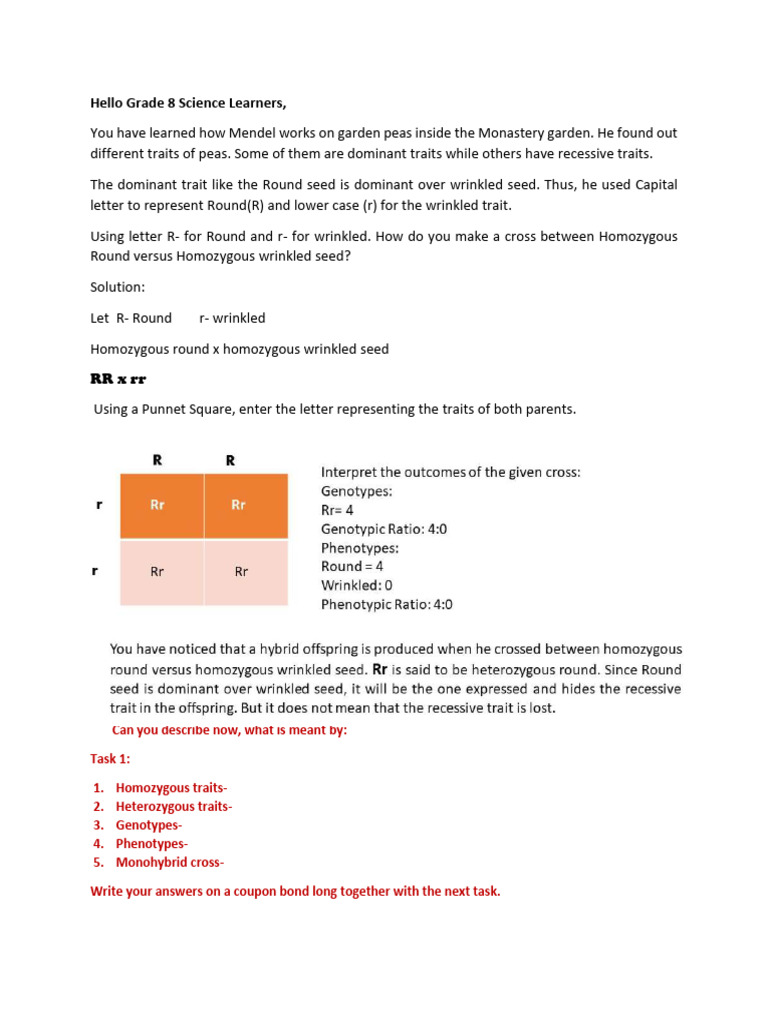 Monohybrid Cross | PDF