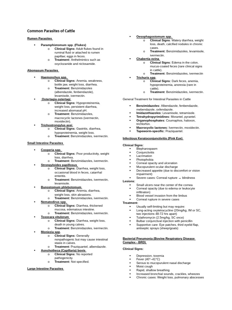 Common Cattle Parasites and Treatments | PDF | Cornea | Cattle