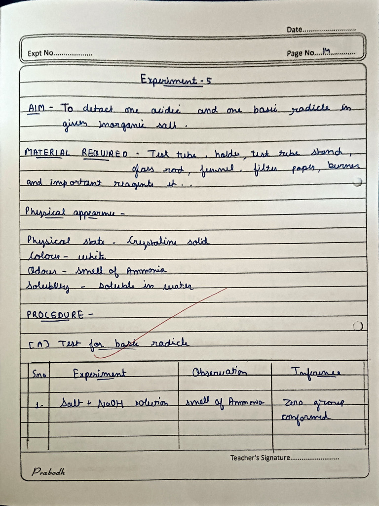 Chemistry Experiment Documentation | PDF