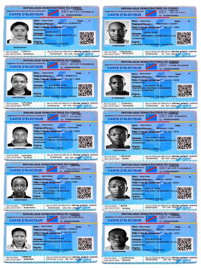 Kinshasa Resident Data Records | PDF