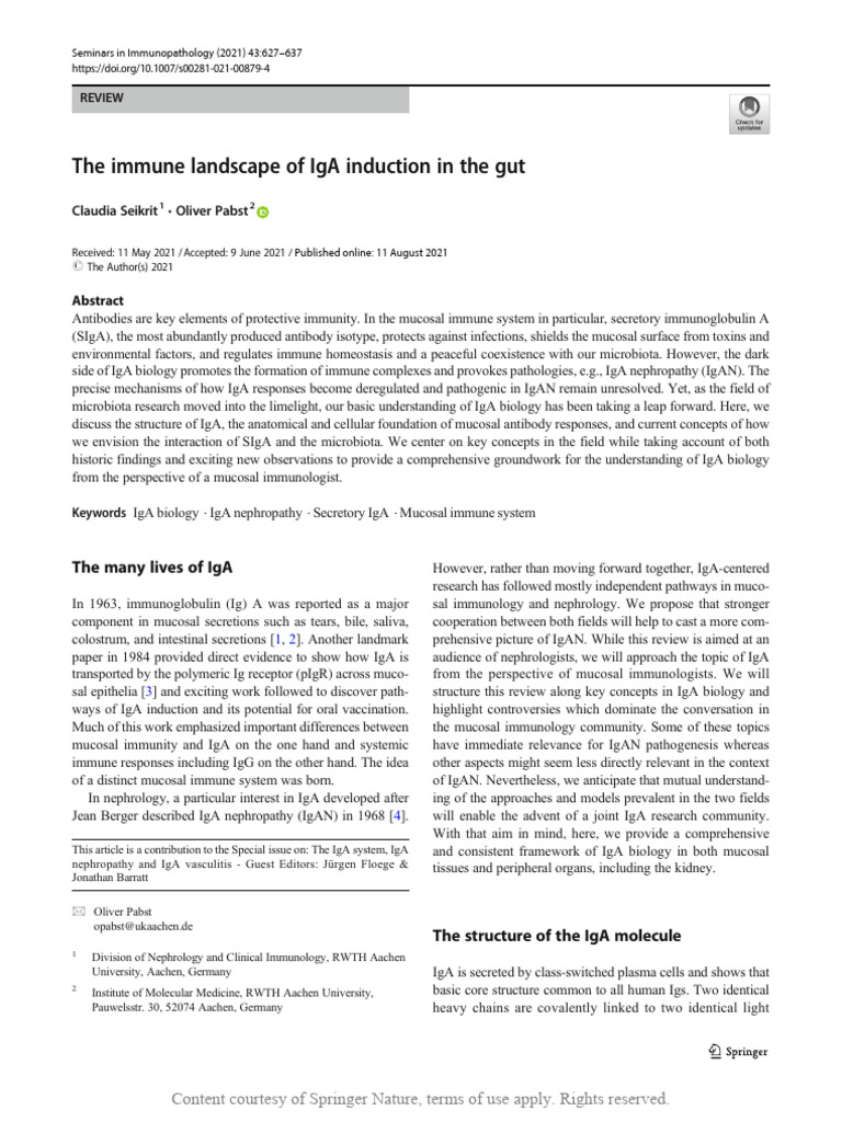 The Immune Landscape of IgA Induction in the Gut | PDF | B Cell | Antibody
