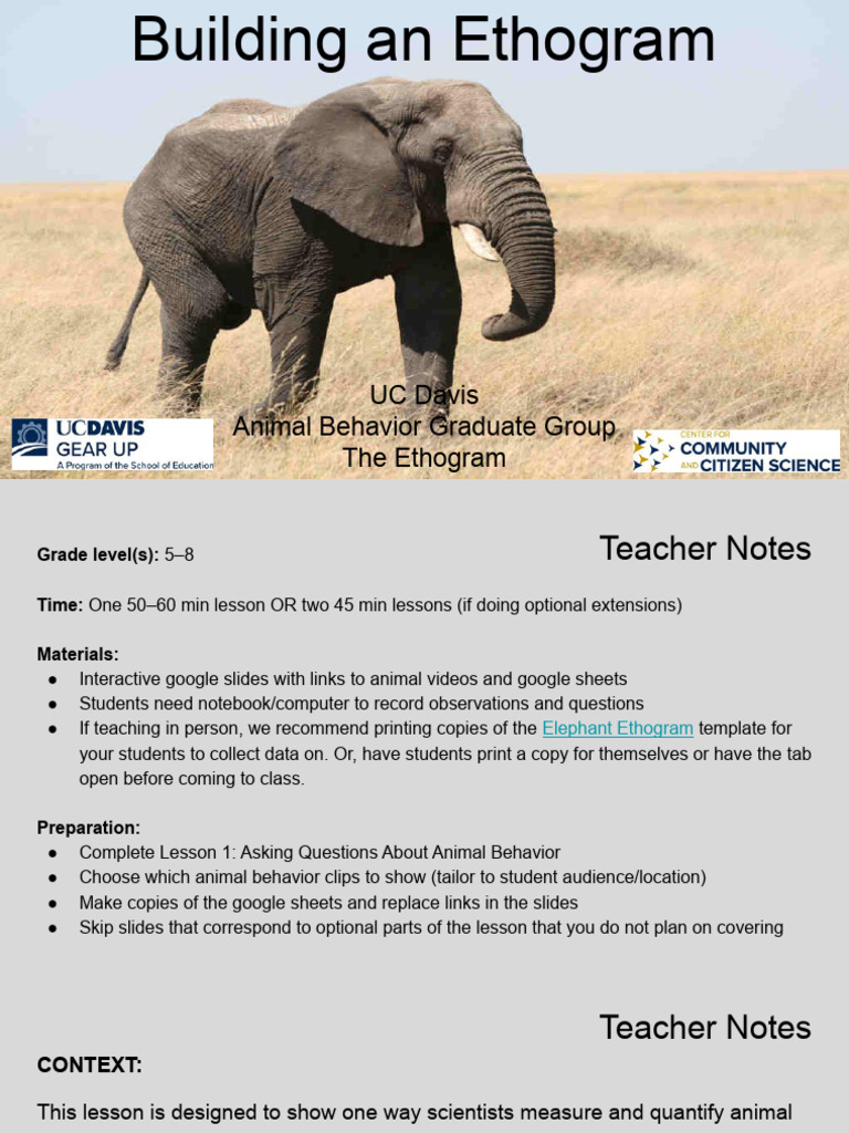 Sharable Lesson 2 Slides | PDF | Elephant | Zoo