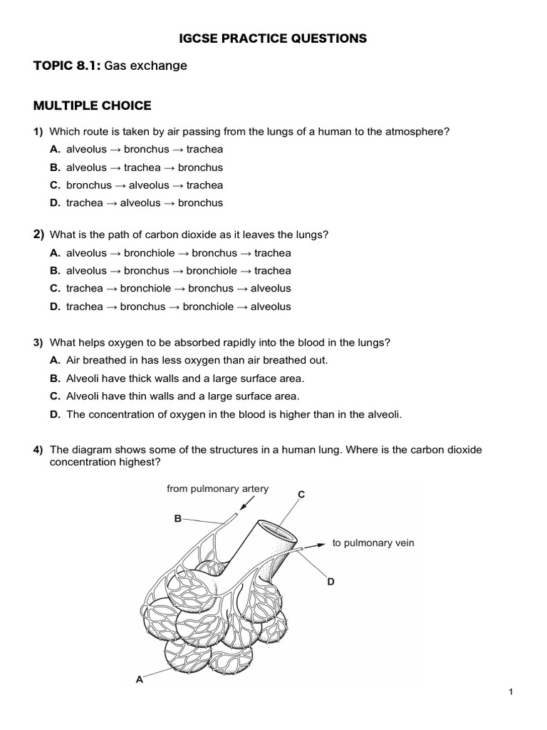 IGCSE Gas Exchange Practice Questions | PDF | Lung | Gases