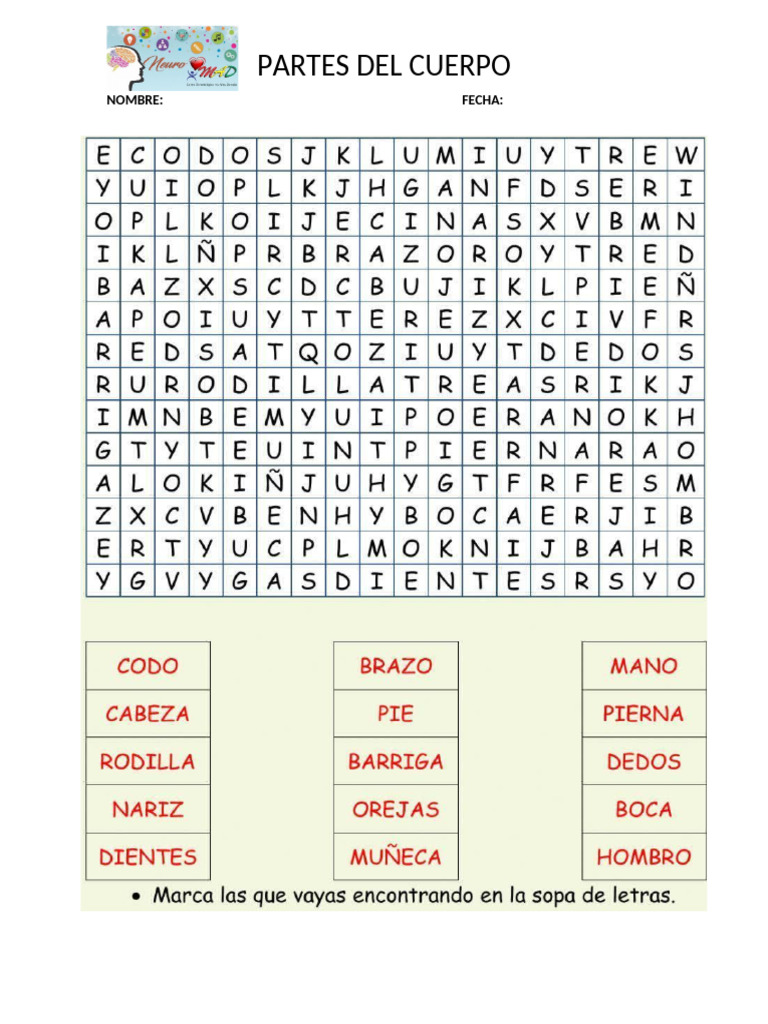 Sopa de Letra Partes Del Cuerpo | PDF