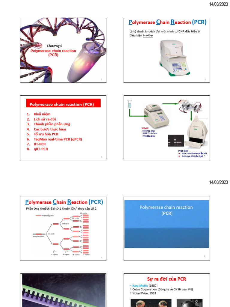 PCR and Blotting | PDF