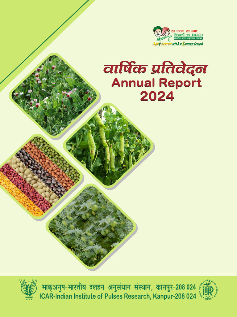 IIPR Annual Report 2024 ENG | PDF