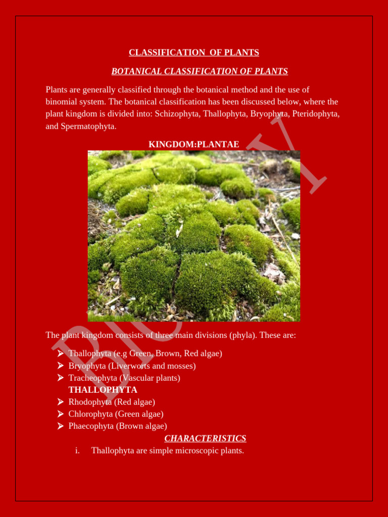 Classification of Plants | PDF
