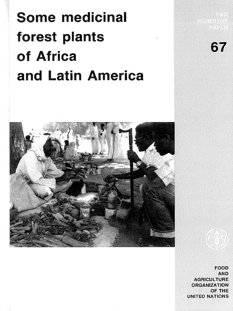 Some Medicinal Forest Plants of Africa and Latin America, 4 | PDF | Leaf | Trees