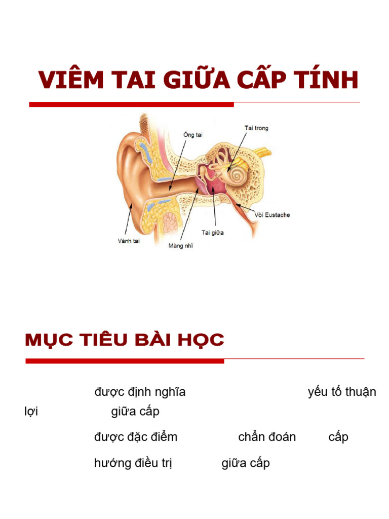 uuuuu | PDF