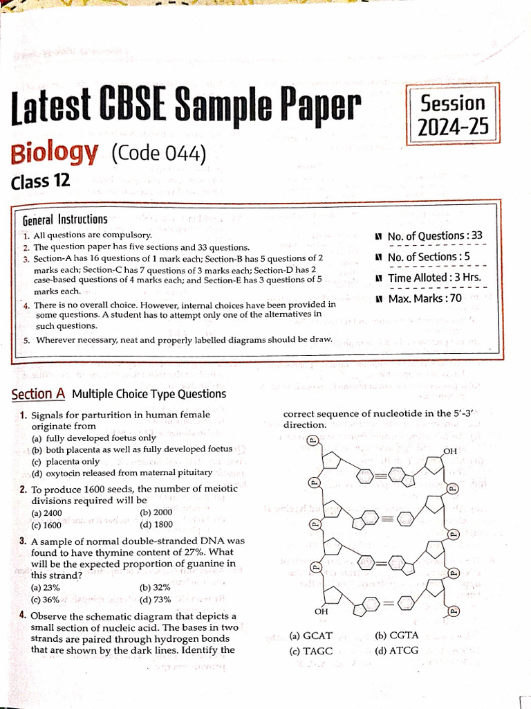 Sample Paper 2 | PDF