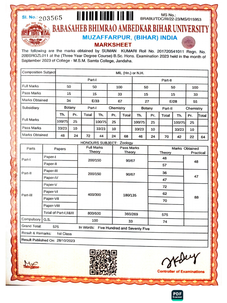 Graduation Marksheet | PDF