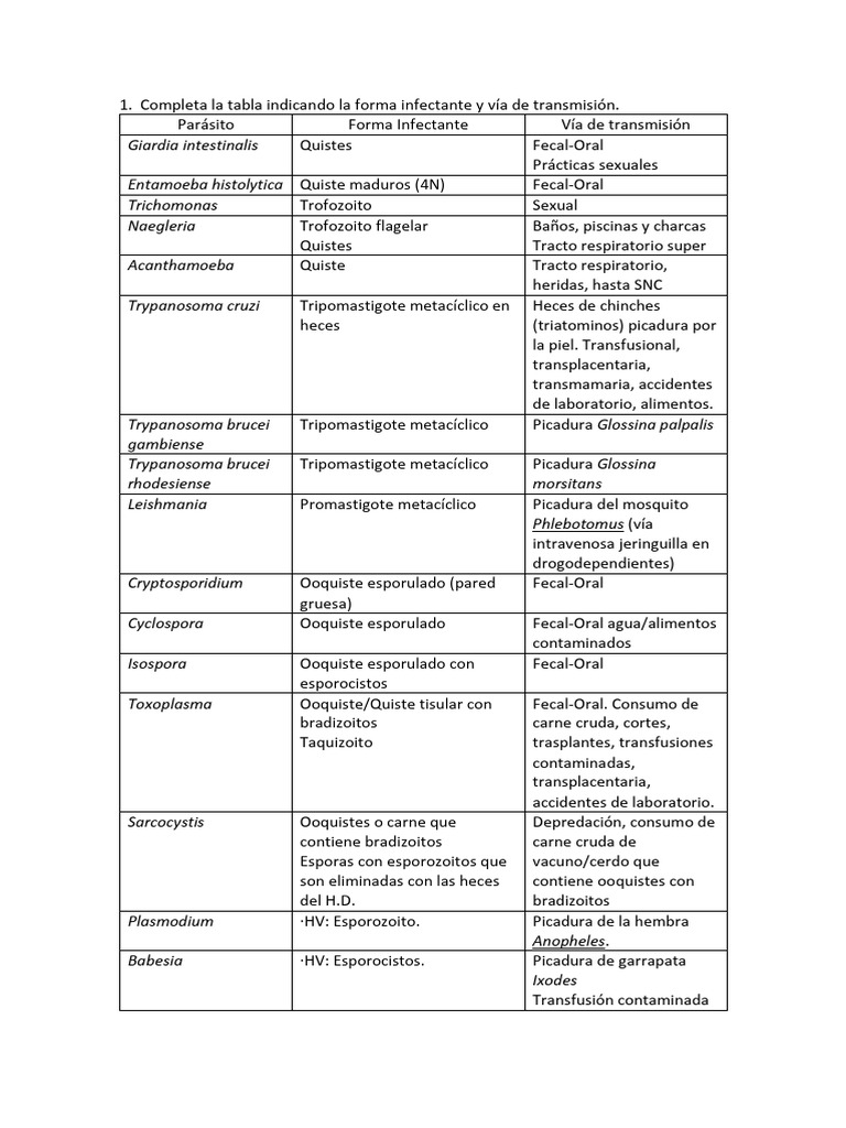 Examen Parasitologia. PDF Gulag Free | PDF | Parasitología