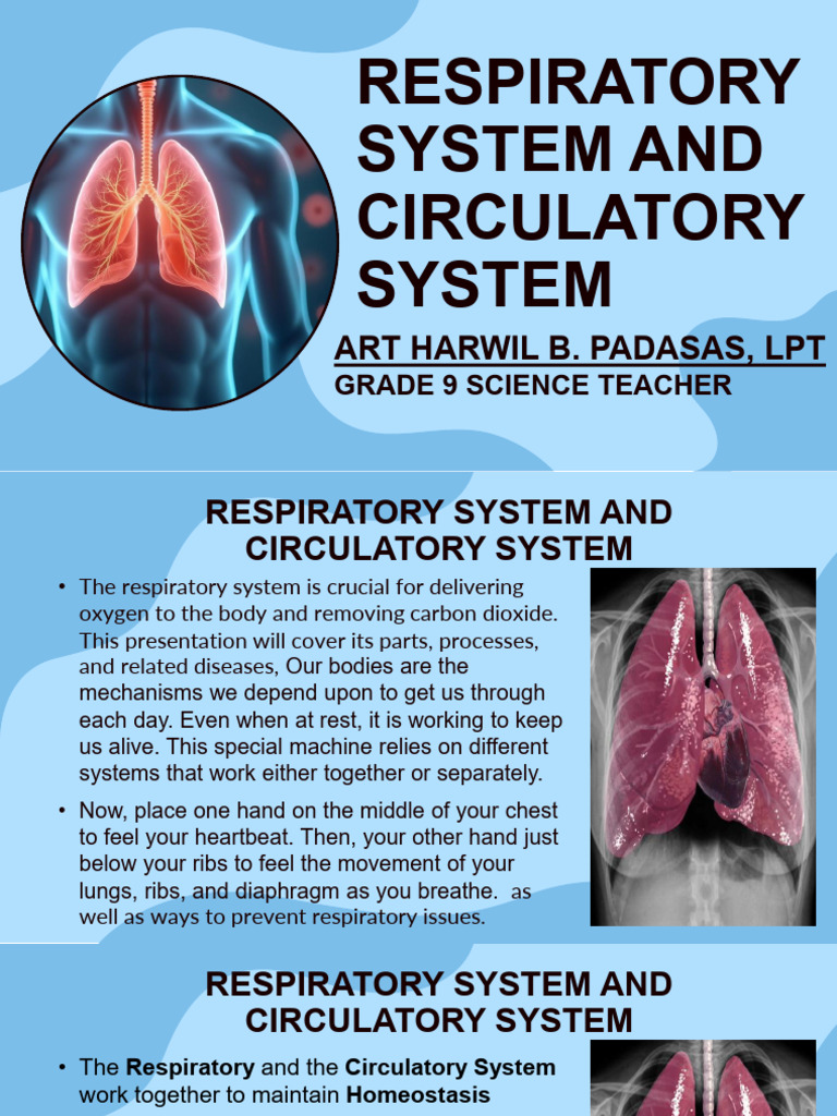 Respiratory and Circulatory Systems Overview | PDF | Respiratory Tract ...