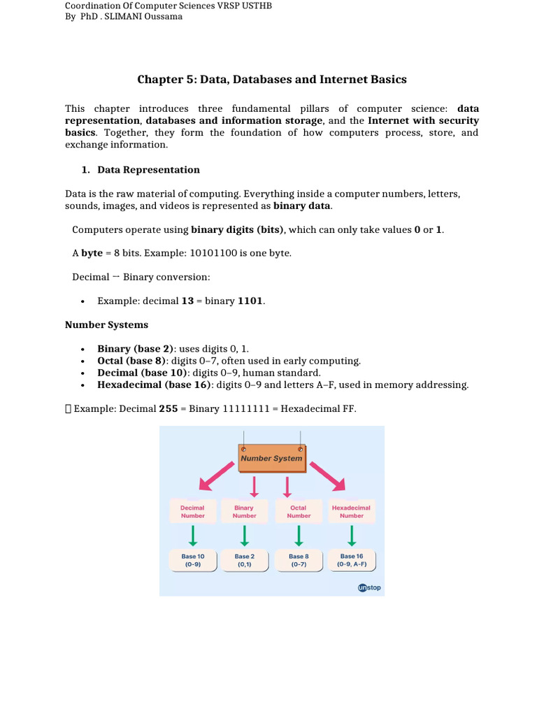 Course5 Chapter5 Data, Databases and Internet Basics | PDF | Computing | Information Technology