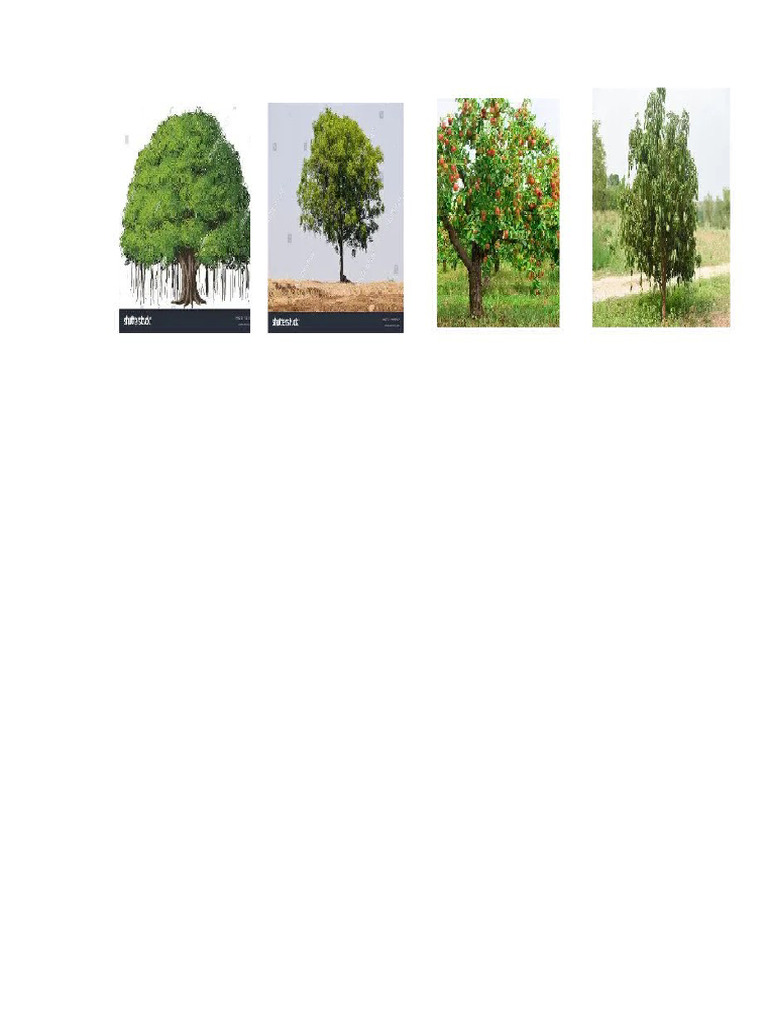 New Microsoft Word Document | PDF