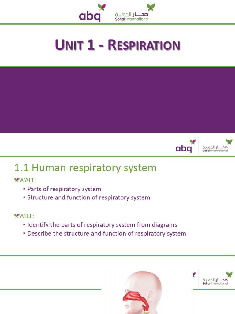 chapter 1.1 science | PDF