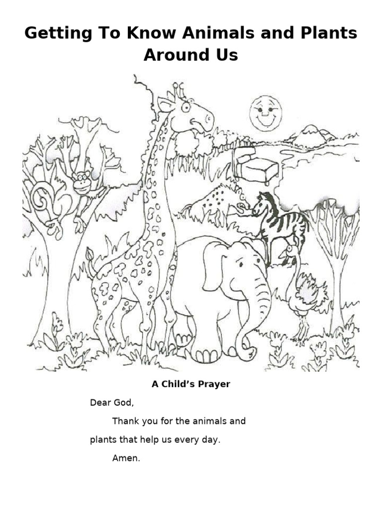 Science Module 1 | PDF