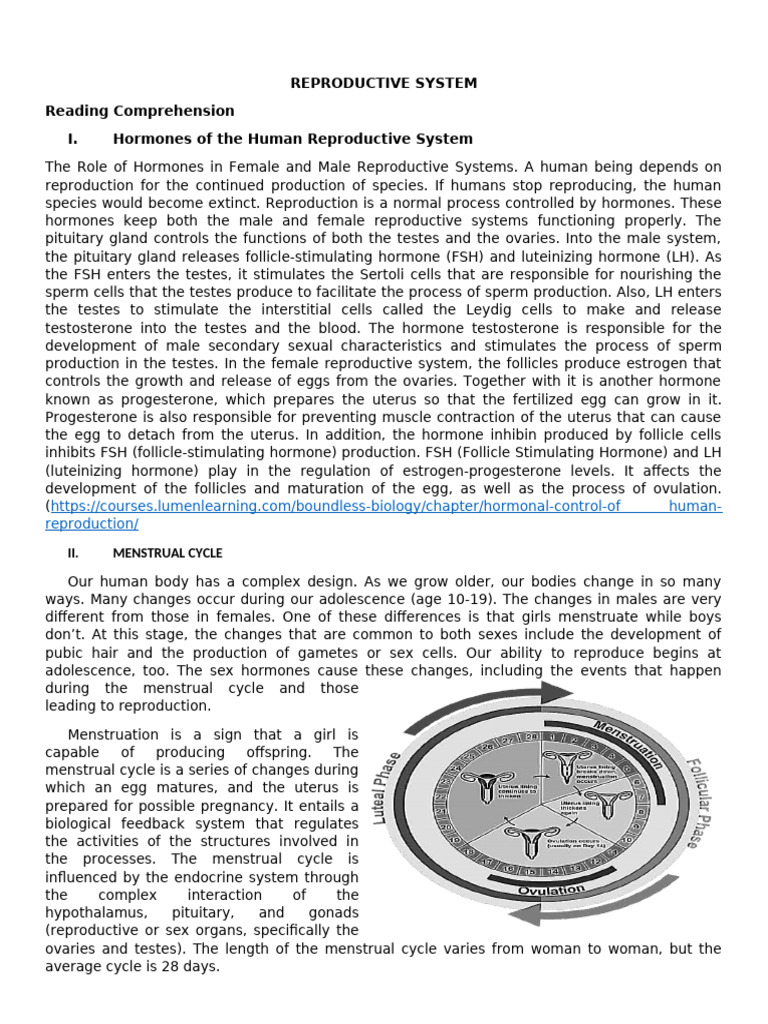 Human Reproductive Hormones & Cycle | PDF | Menstrual Cycle ...